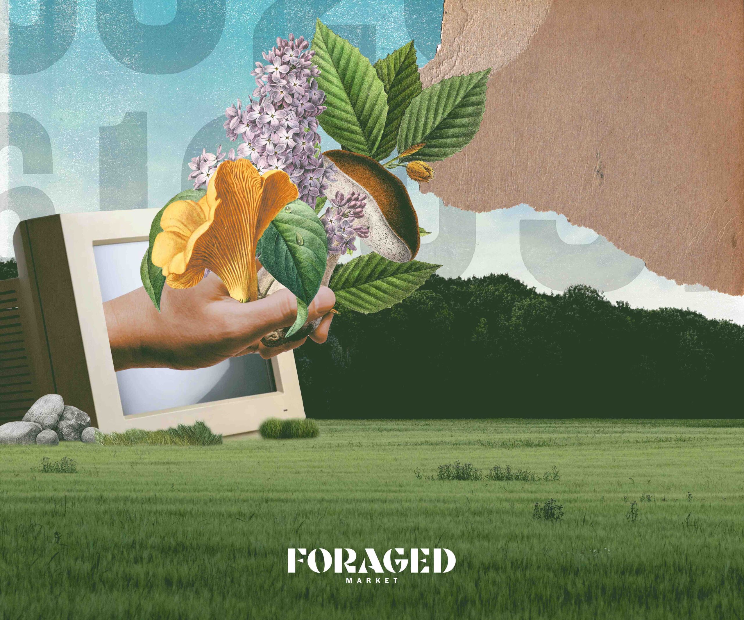 Grow you specialty cheese business online with Foraged