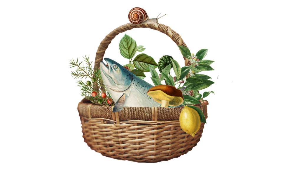 Grow your food business, with Foraged