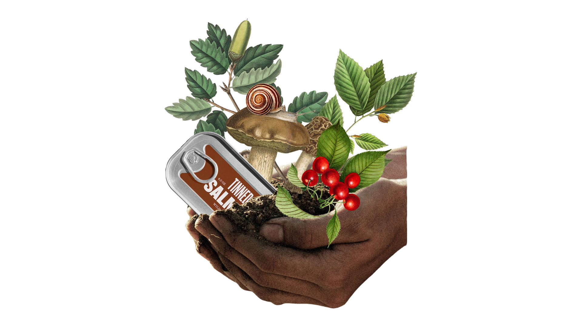 Online sales platform for craft food producers. Join Foraged